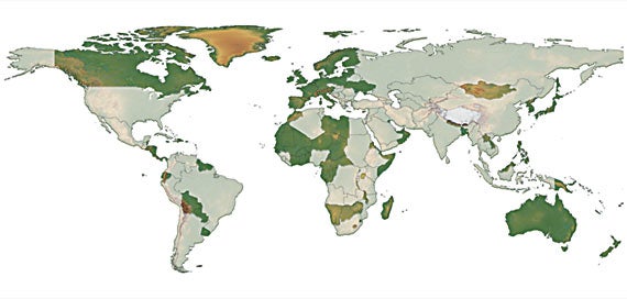 HRW Annual Report 2000