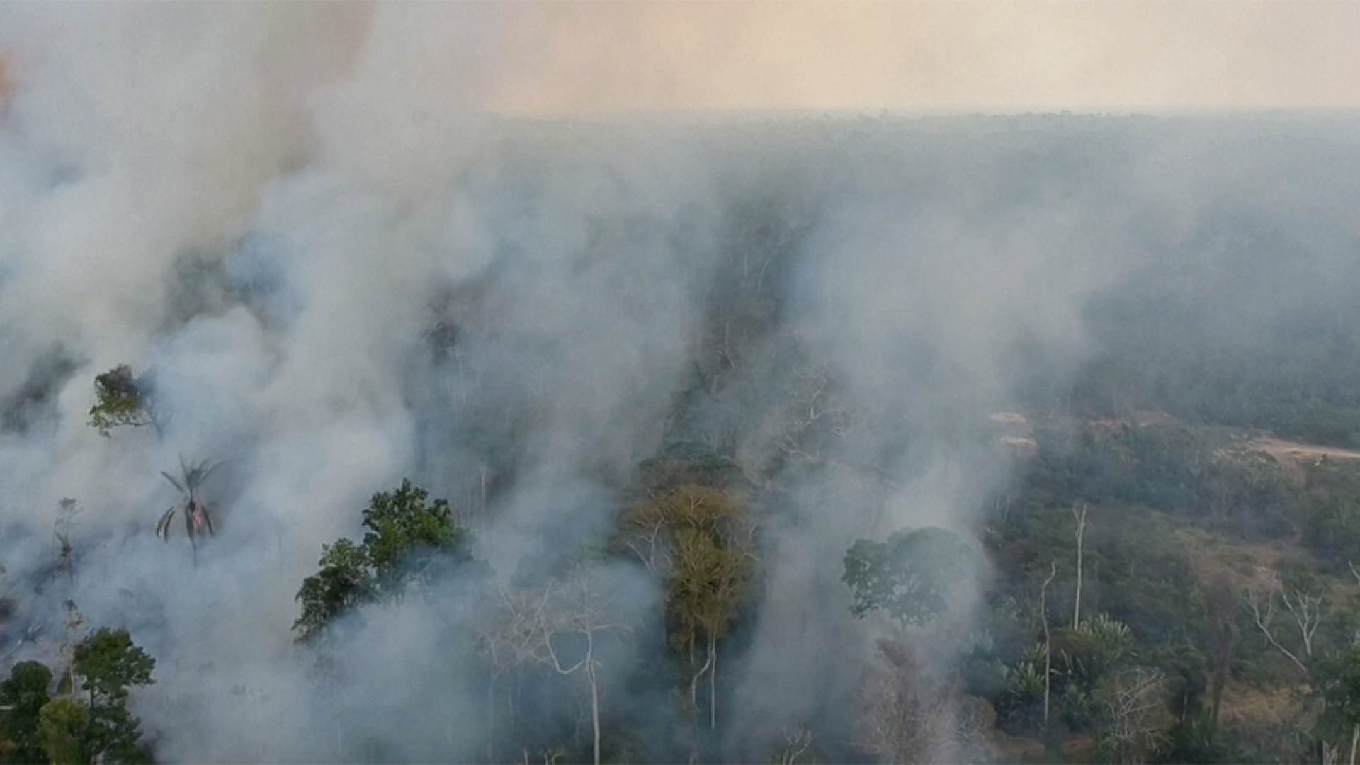 Brazil: Amazon Fires Affect Health of Thousands | Human Rights Watch