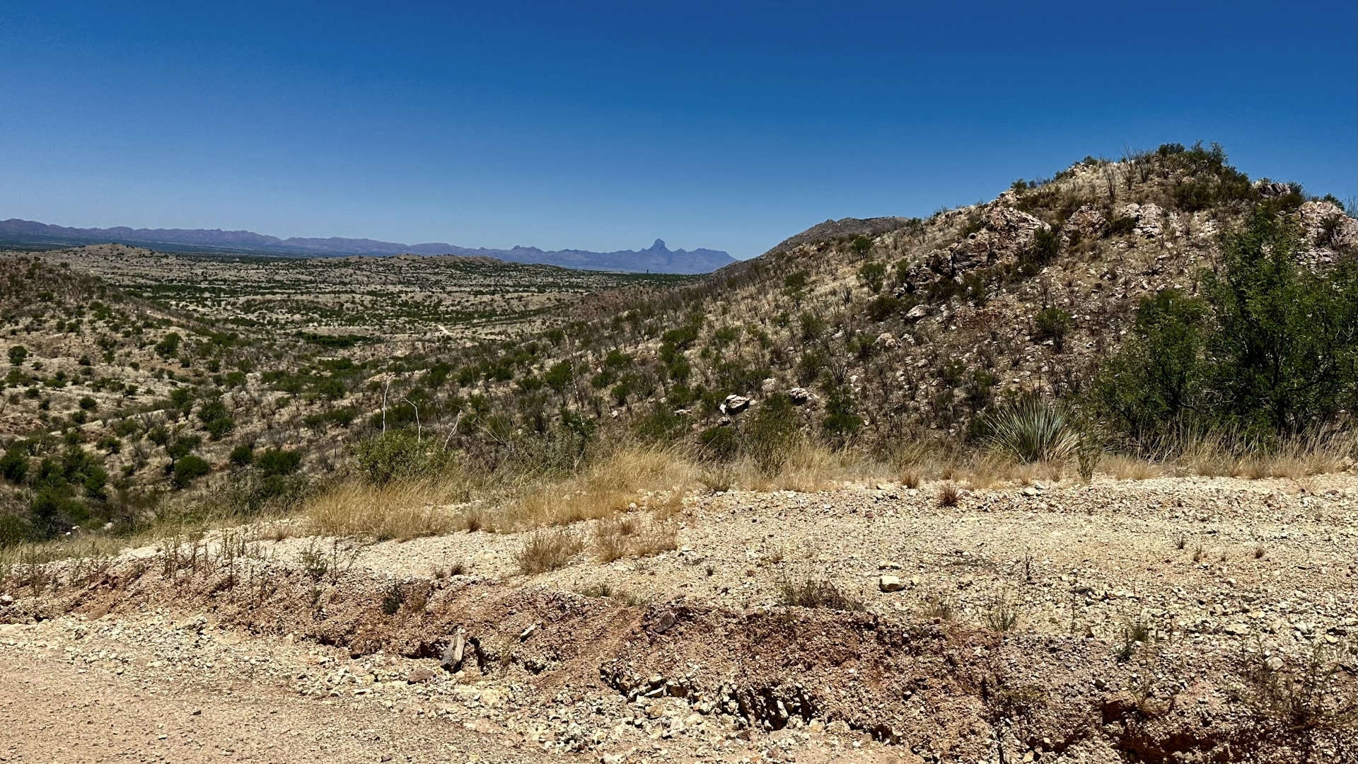 “Nothing but Bones” | Human Rights Watch