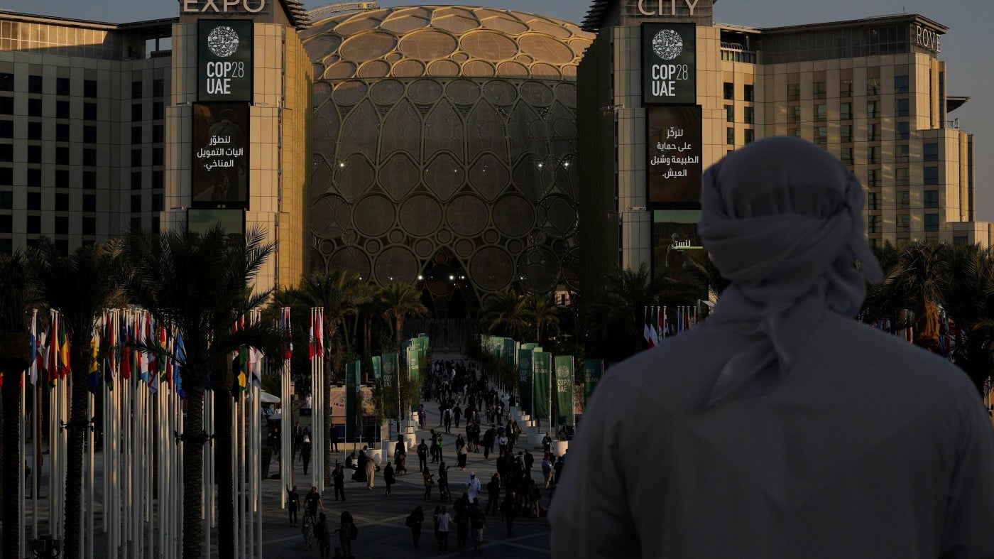 World Report 2024: United Arab Emirates | Human Rights Watch