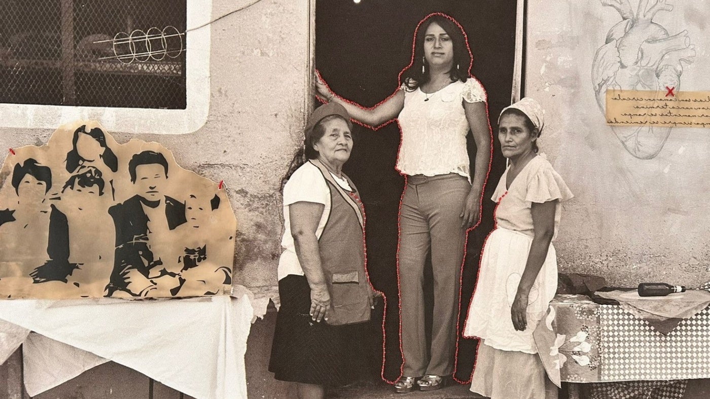 “I Just Want to Contribute to Society”: The Need for Legal Gender ...
