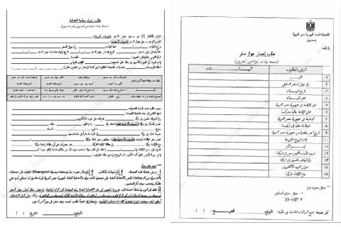Egypt: Dissidents Abroad Denied Identity Documents | Human Rights Watch