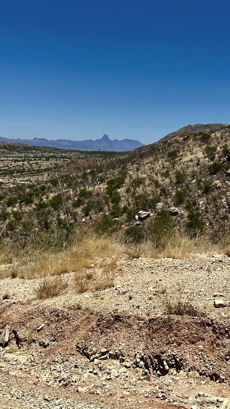 “Nothing but Bones” | Human Rights Watch