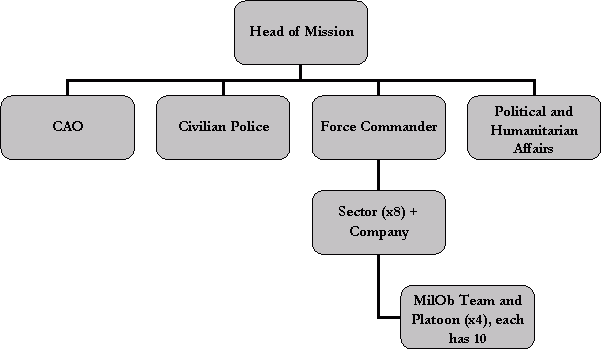 The African Union Mission in Sudan | HRW