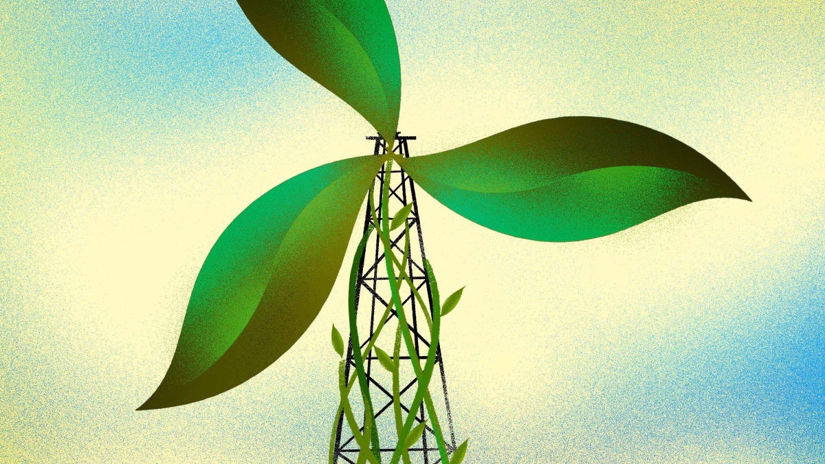 Addressing the Climate Crisis in Times of Pandemic | Human Rights Watch