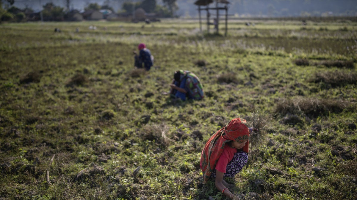 Nepal’s Social Protection System Reinforces Inequality | Human Rights Watch