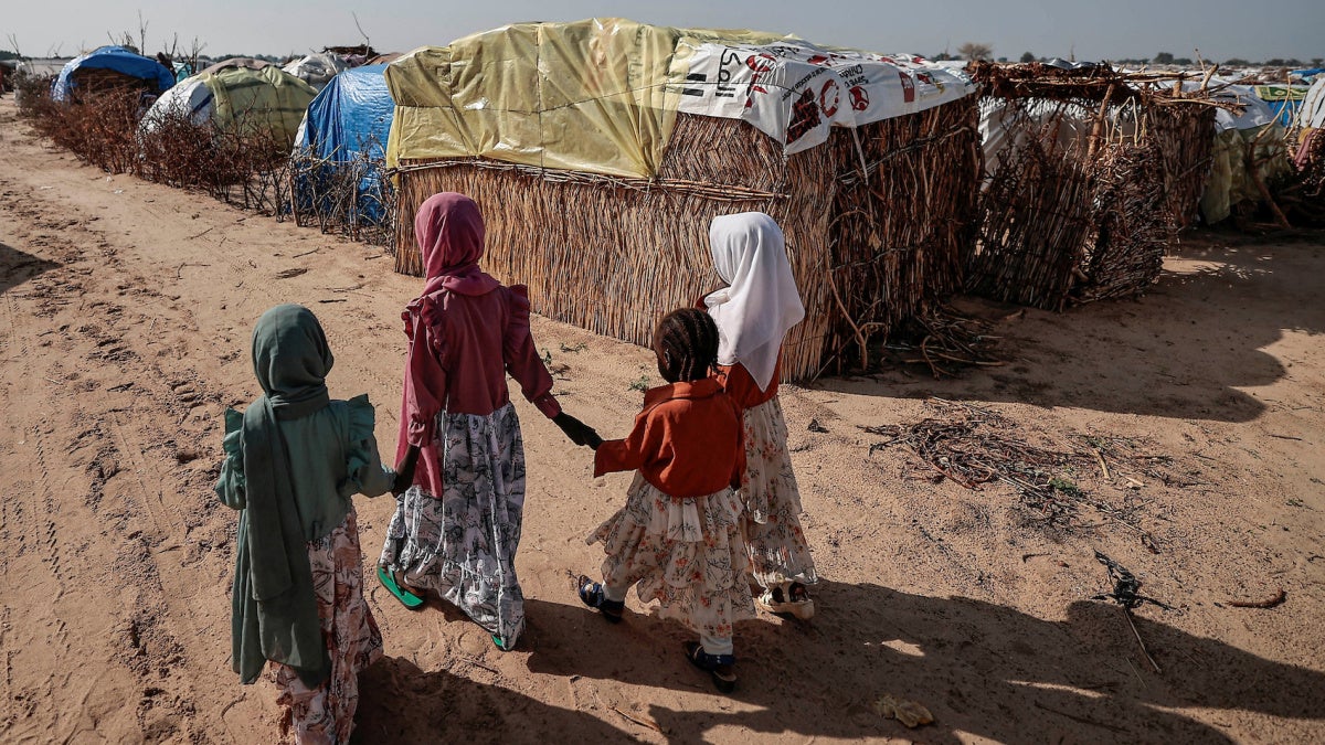 darfur desertification