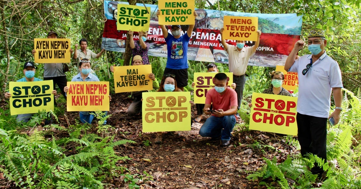 EU: Include Civil Society in Anti-Deforestation Task Force | Human ...