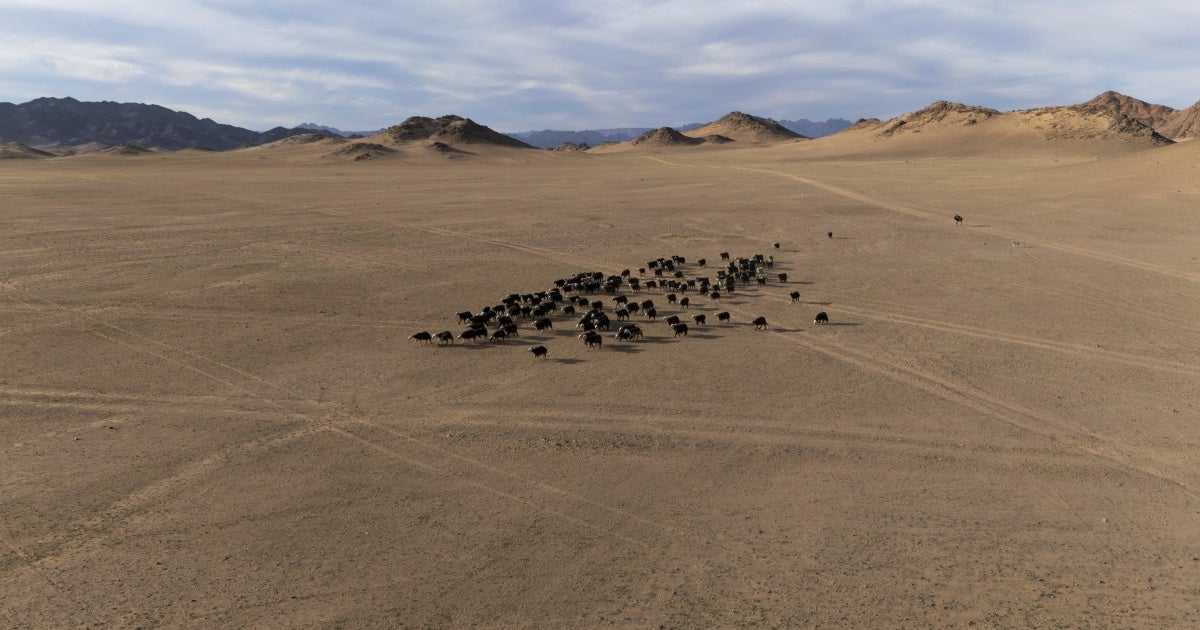 Movie Based on Migrant Worker’s Life Faces Backlash in Saudi Arabia ...