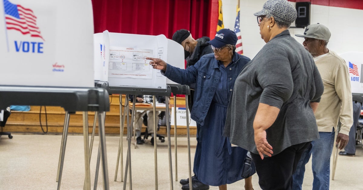 10 Principles to Safeguard US Election Rights | Mirage News