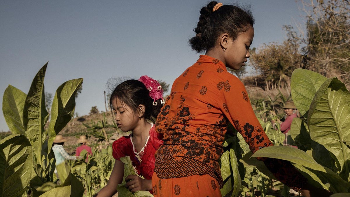 The Netherlands's Plan to Cut Child Labor Out of Products | Human ...