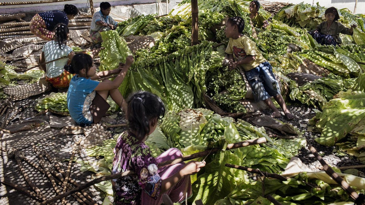 Historic Commitment to End Worst Forms of Child Labor | Human Rights Watch