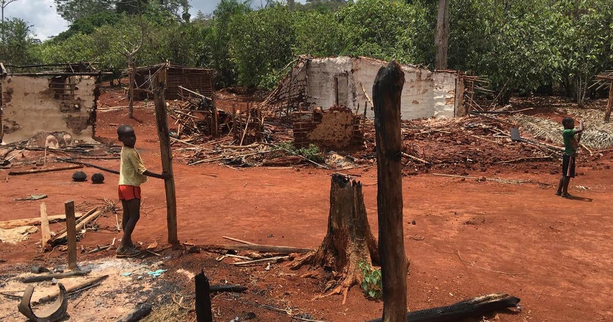 Chocolate, Deforestation and Human Rights | Human Rights Watch