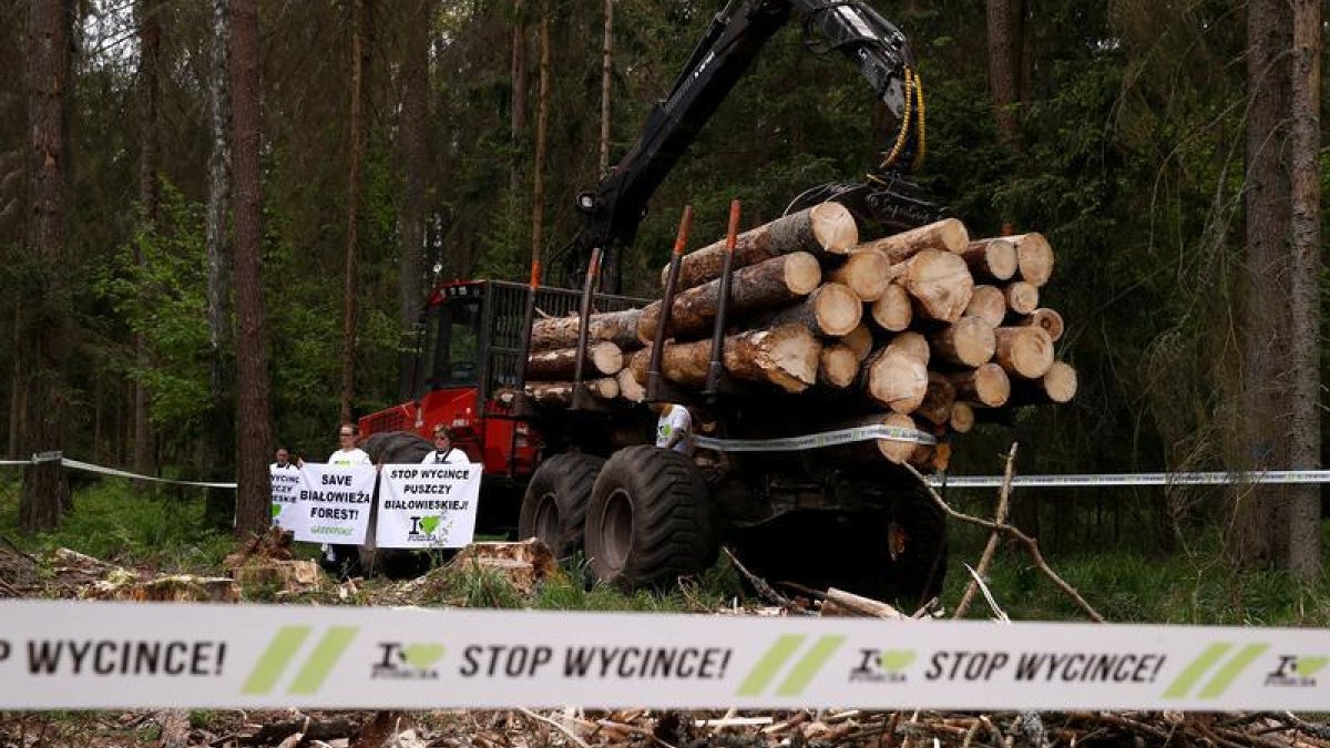 Polish Crackdown Ahead of Climate Talks | Human Rights Watch