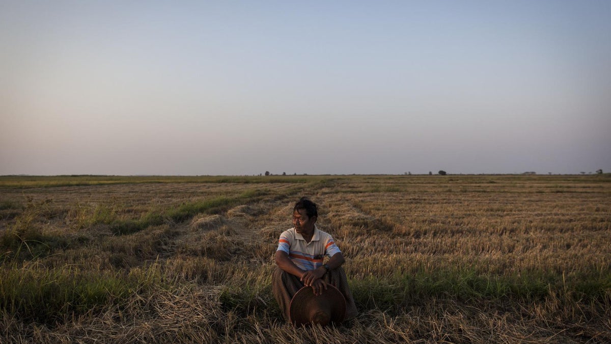 Myanmar: Farmers Seek Return of Seized Land | Human Rights Watch